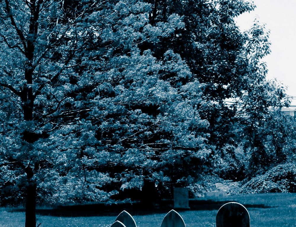 Poem by Mark Tulin - oddball magazine