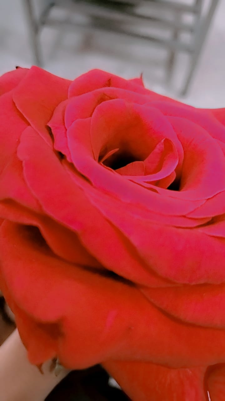 Poem by Jenna Brown - oddball magazine