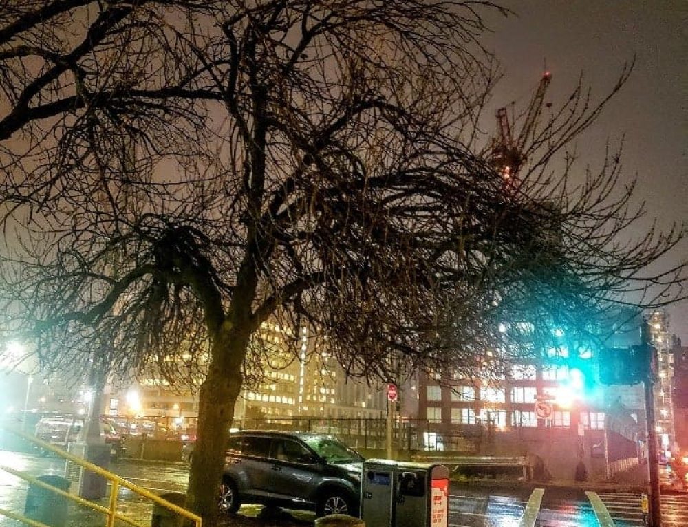 Poem by Cheryl Snell - oddball magazine