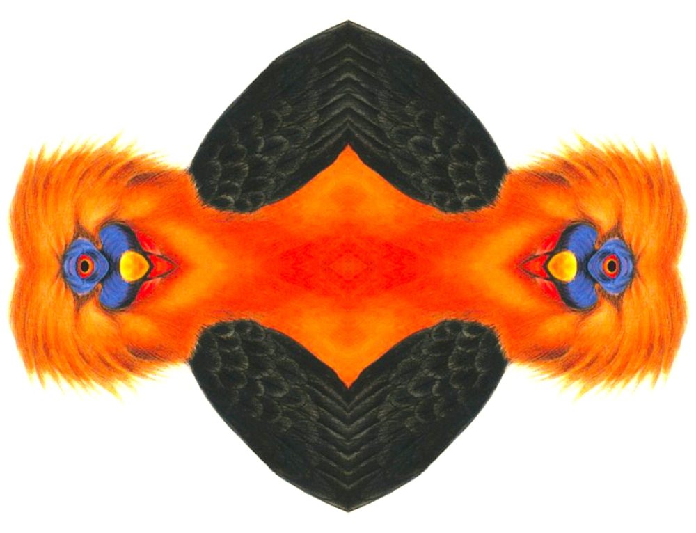 Poem by Cheryl Snell - oddball magazine