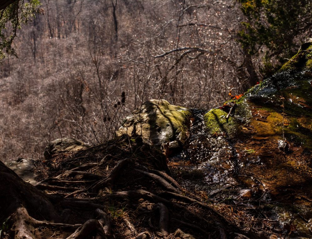 Poem by Cheryl Snell - oddball magazine