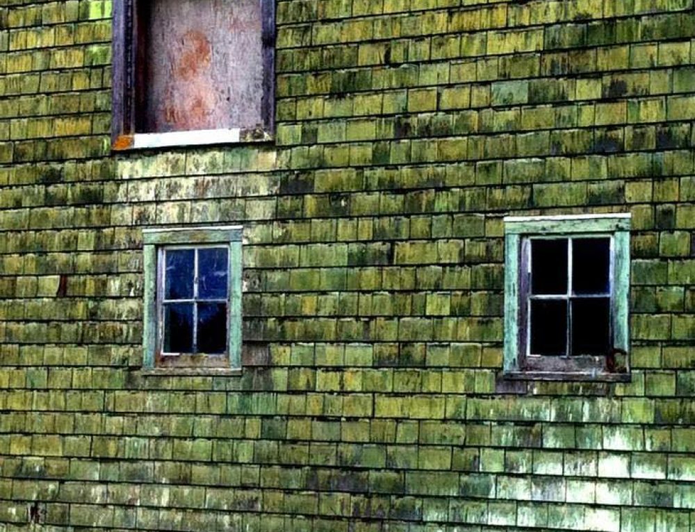 Poem by Adrienne Pilon - oddball magazine